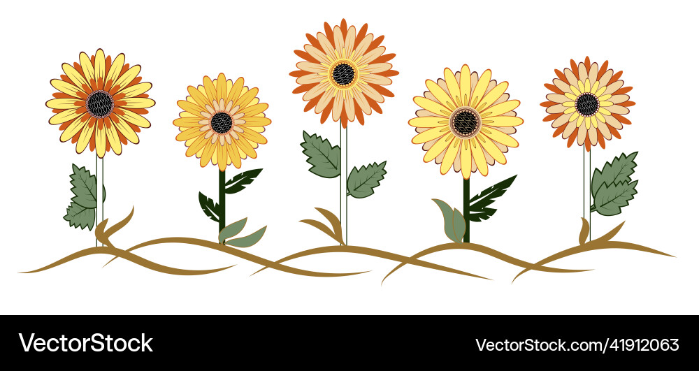 Abstract colourful sunflowers on a white Vector Image