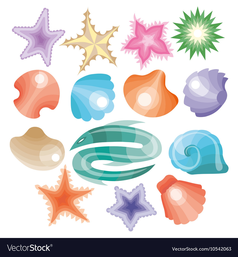 Collection of sea shells and stars Royalty Free Vector Image