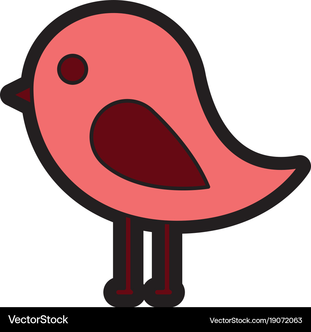 Cute bird animal wild nature Royalty Free Vector Image