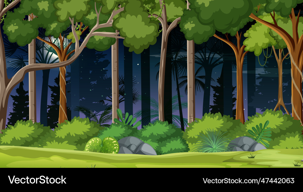 Forest landscape scene at night with many trees Vector Image