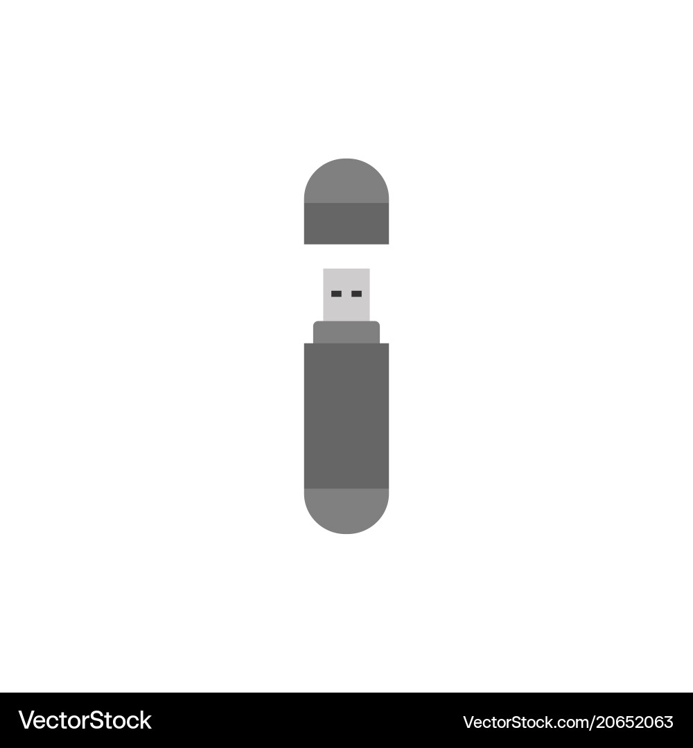 Isolated usb flash drive in cartoon style Vector Image