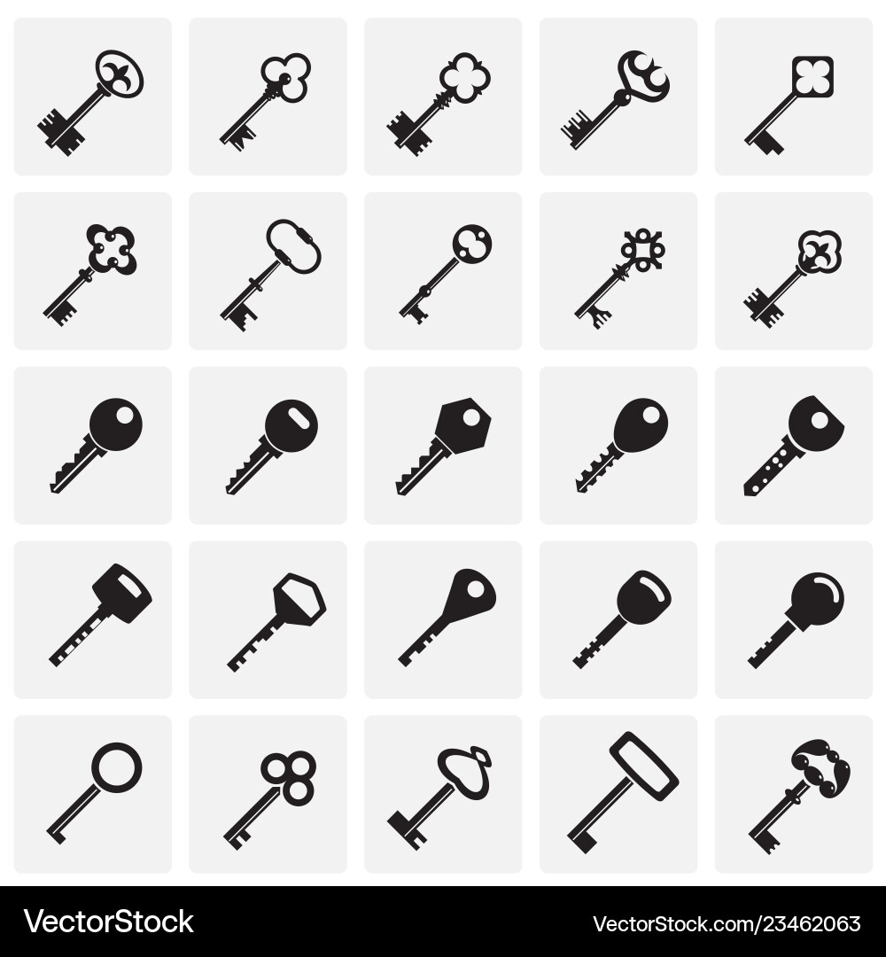 Keys icons set on squares background for graphic Vector Image