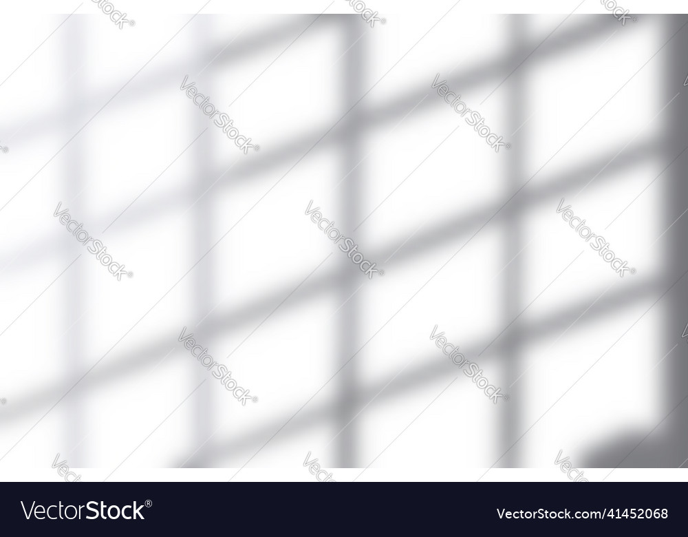 Grid window shadow composition Royalty Free Vector Image