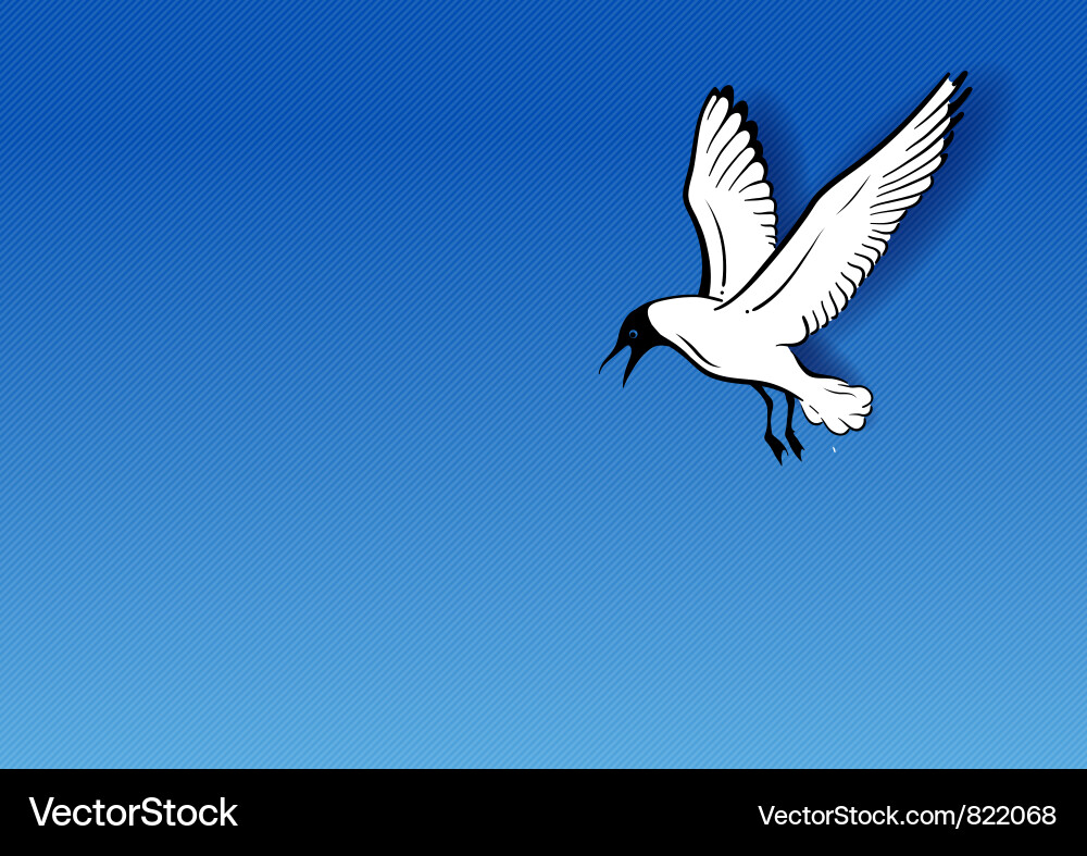 Seagull on blue Royalty Free Vector Image - VectorStock