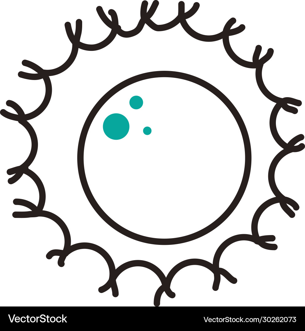 Isolated virus with nucleus half line color Vector Image