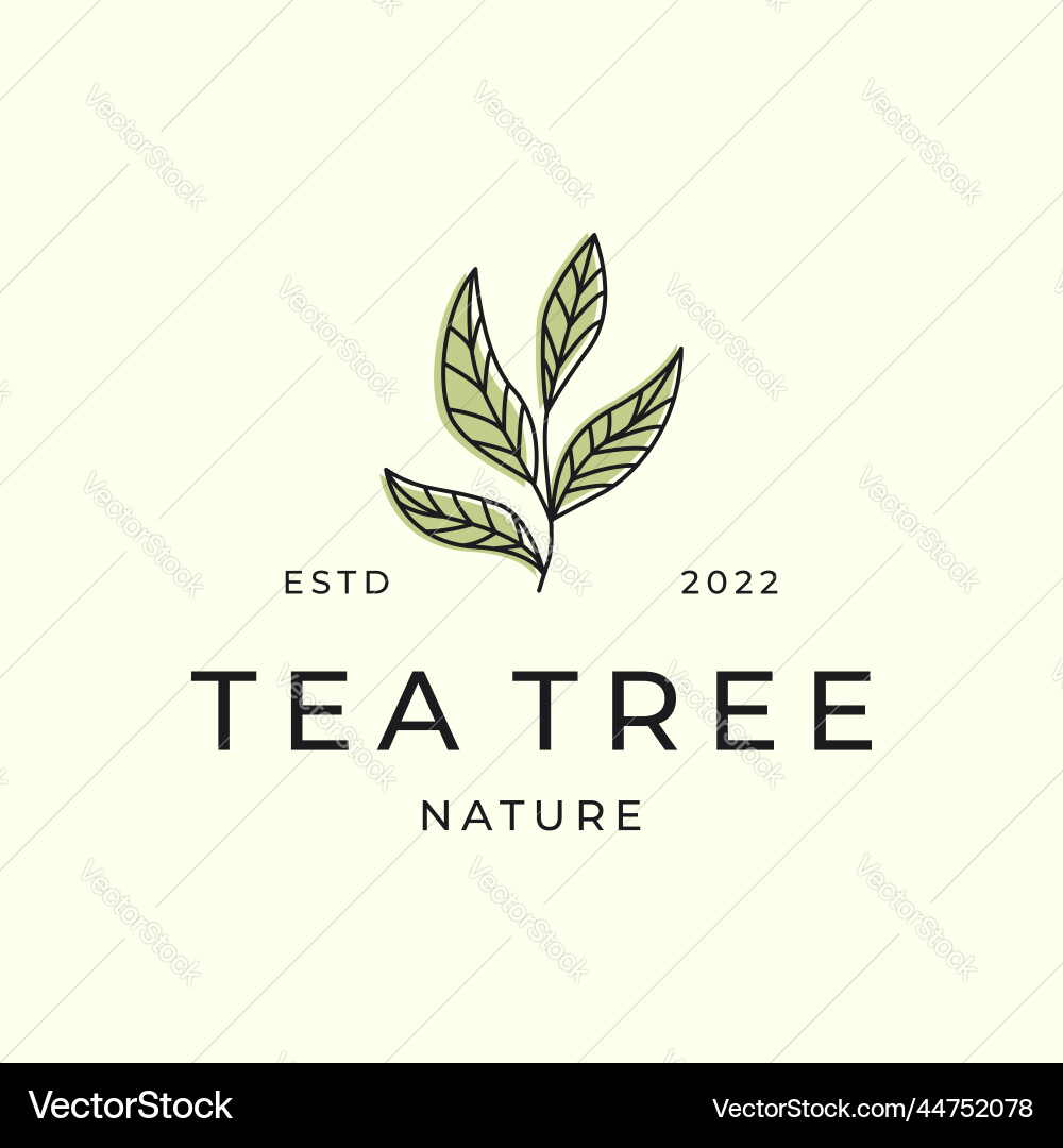 Leaf tea line art logo template design green tea Vector Image