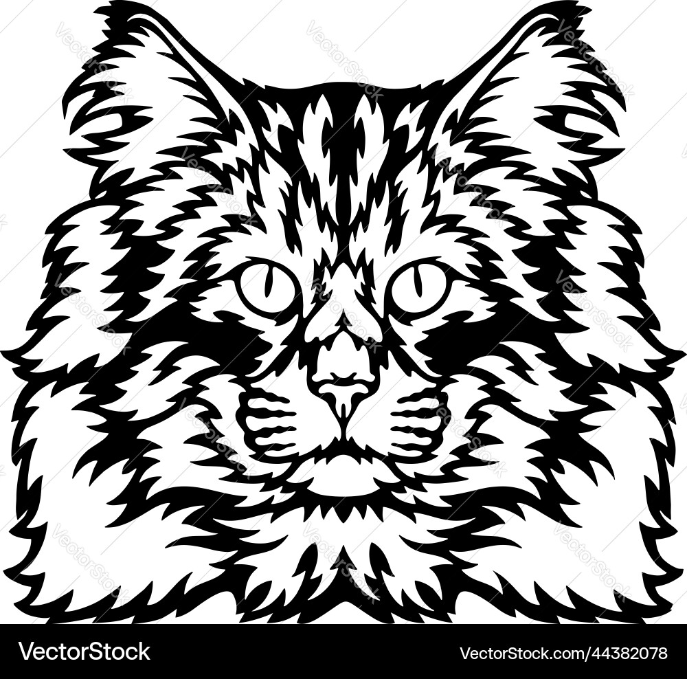 Norwegian forest cat peeking cats cats Royalty Free Vector
