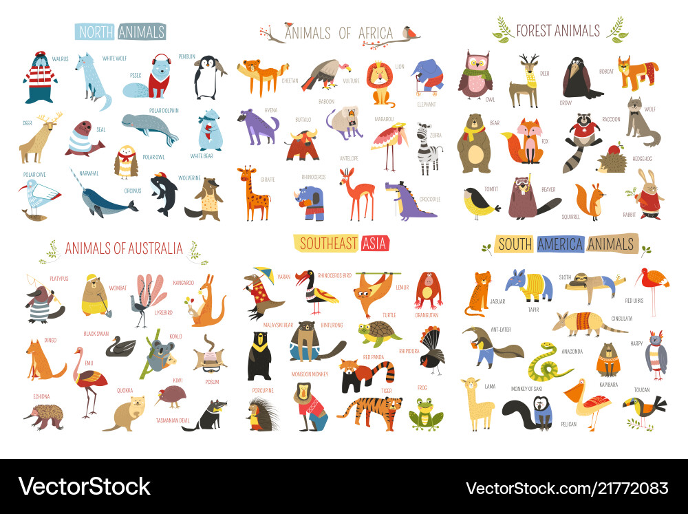 Cartoon animals and birds different continents Vector Image