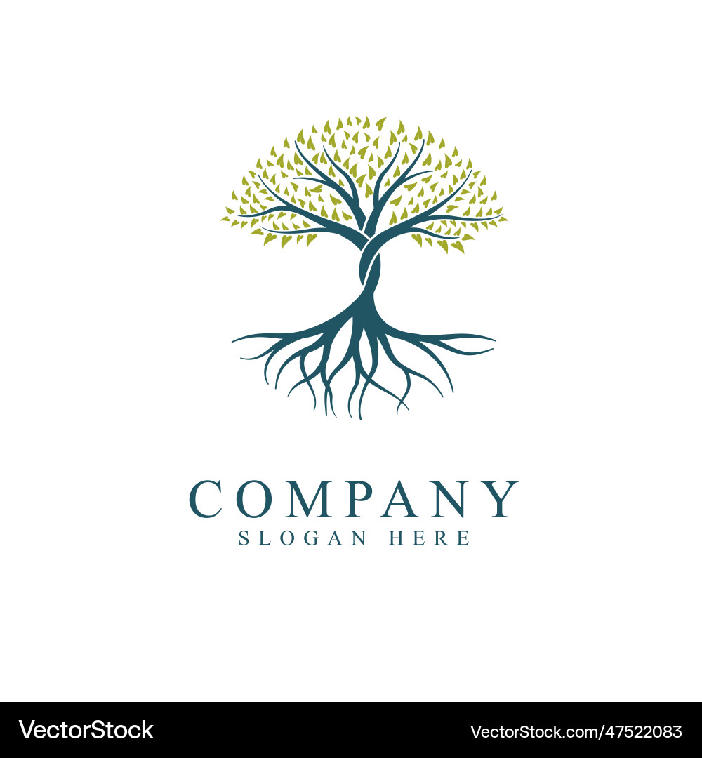 Vibrant tree logo design tree tree of life logo Vector Image
