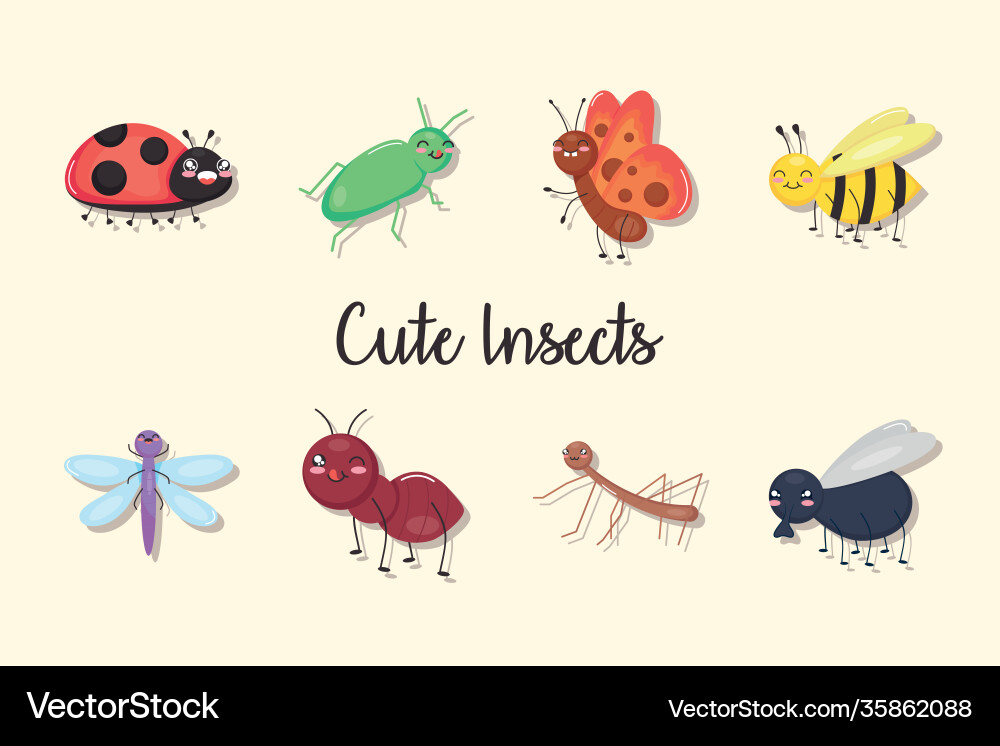 Cute insects icon set colorful design Royalty Free Vector