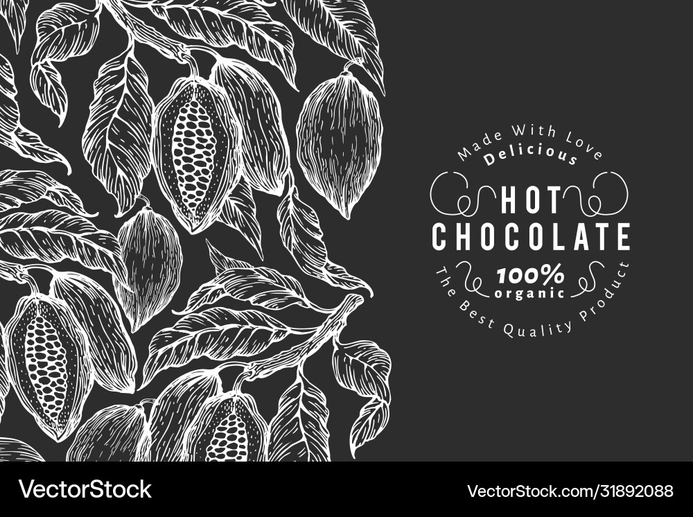 Hand drawn cocoa design template cacao plants on Vector Image