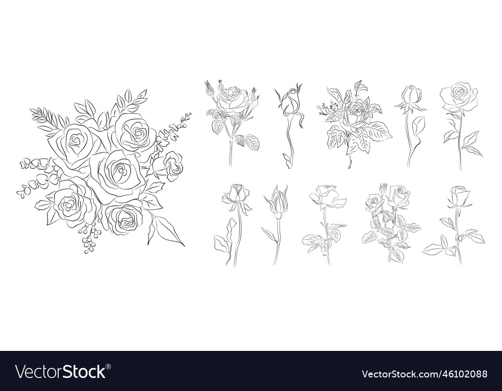 Rose flowers line art set Royalty Free Vector Image