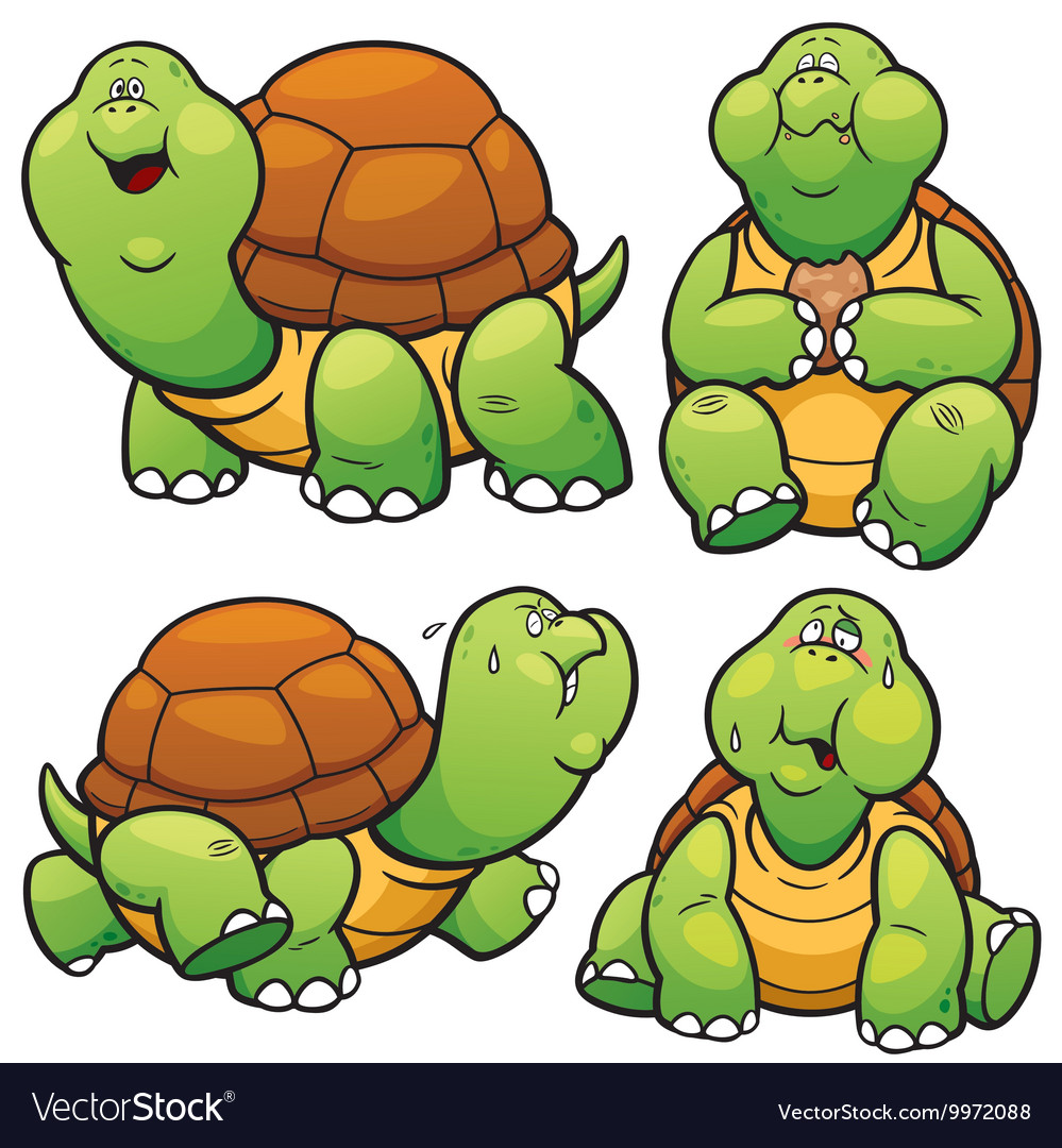 Turtle Royalty Free Vector Image - VectorStock