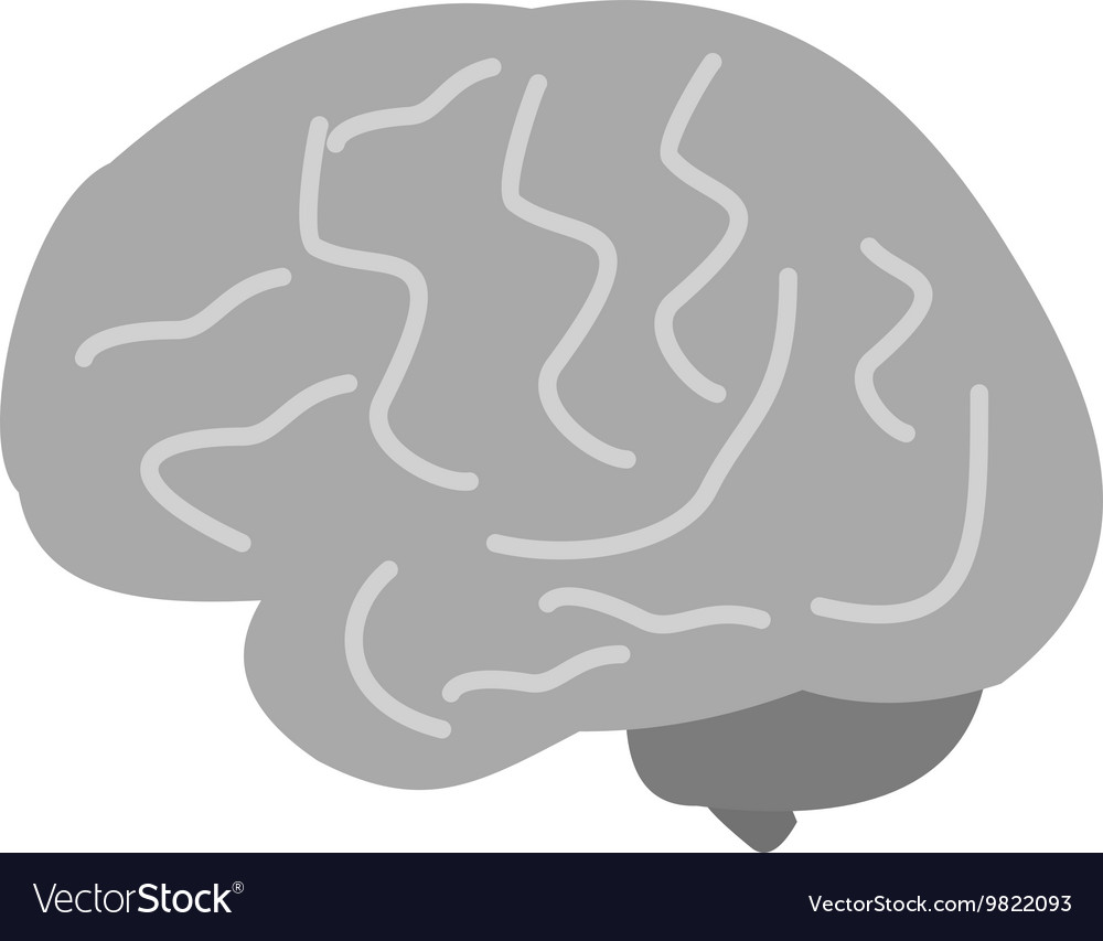 Brain Royalty Free Vector Image - VectorStock
