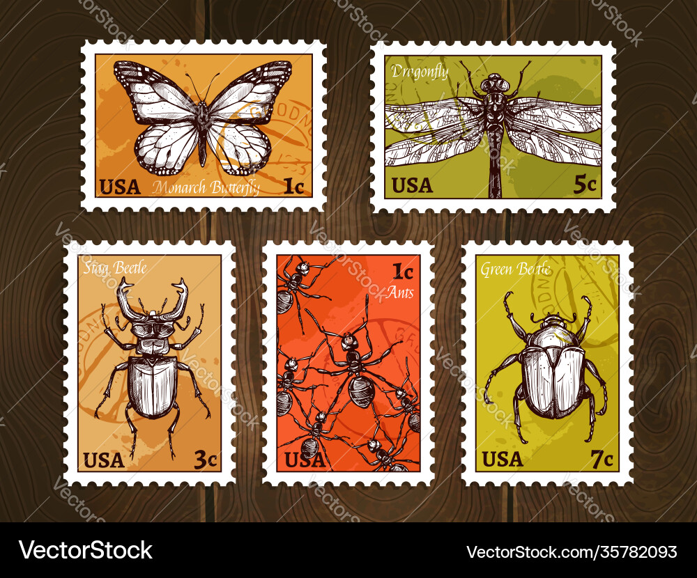 Postage stamps with insects sketch Royalty Free Vector Image