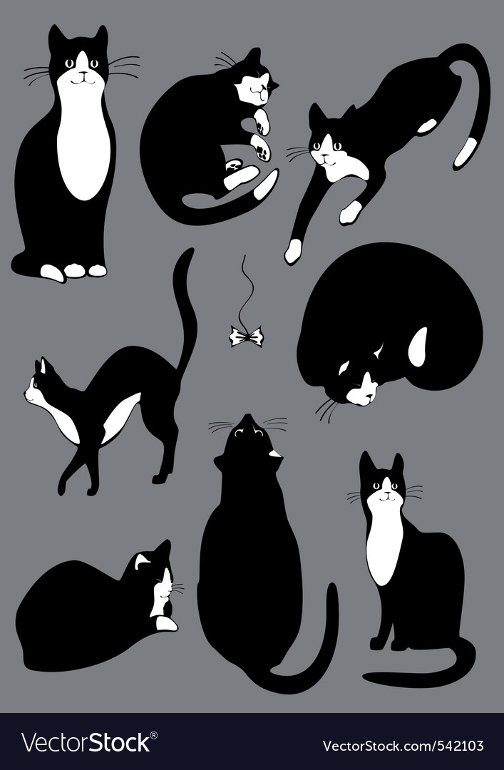 Cats Royalty Free Vector Image - VectorStock