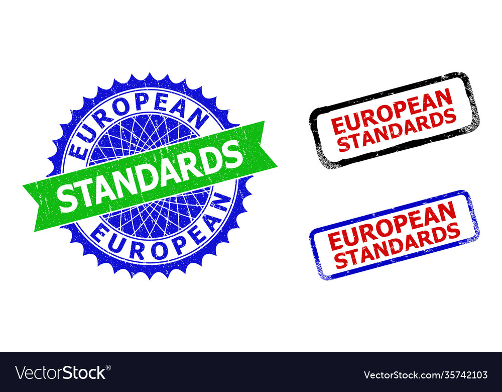 European standards rosette and rectangle bicolor Vector Image