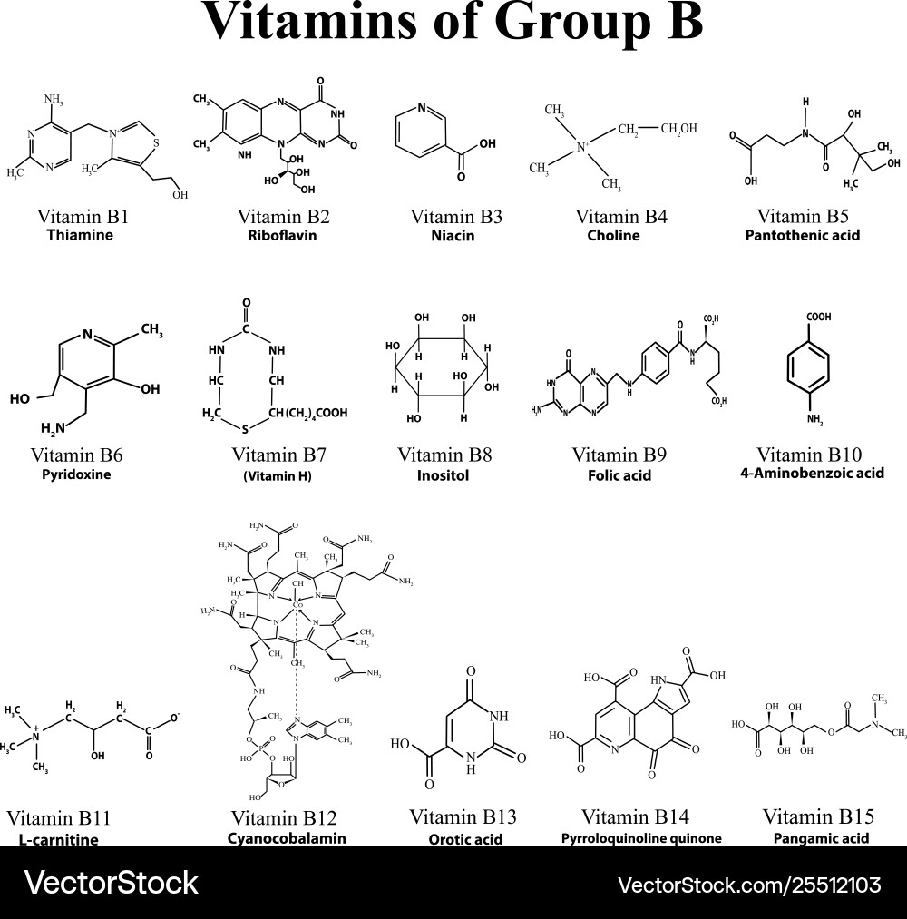 Water soluble vitamins set group b Royalty Free Vector Image