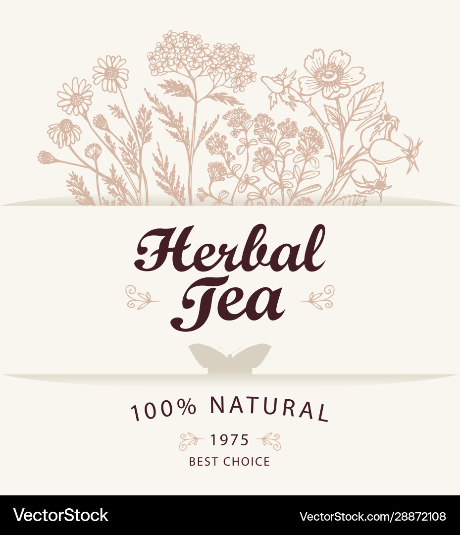 Banner or label for herbal tea with herbs drawings