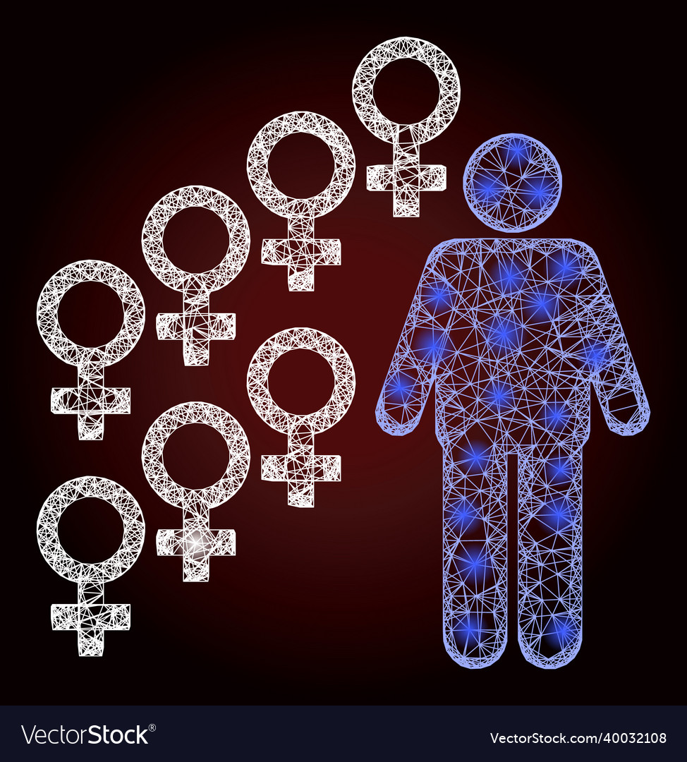 Glossy net mesh harem symbol with lightspots Vector Image