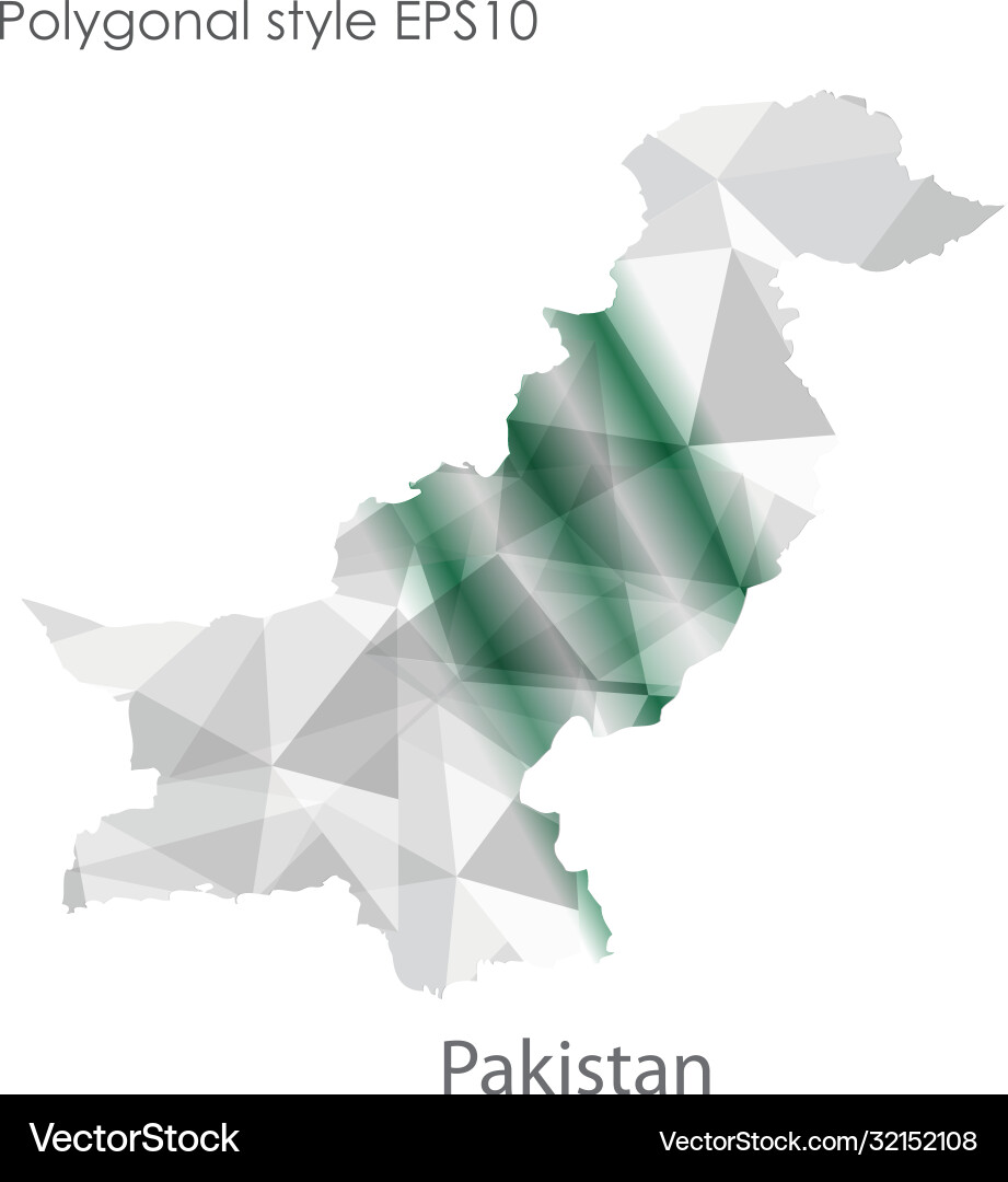 Isolated icon pakistan map polygonal geometric Vector Image