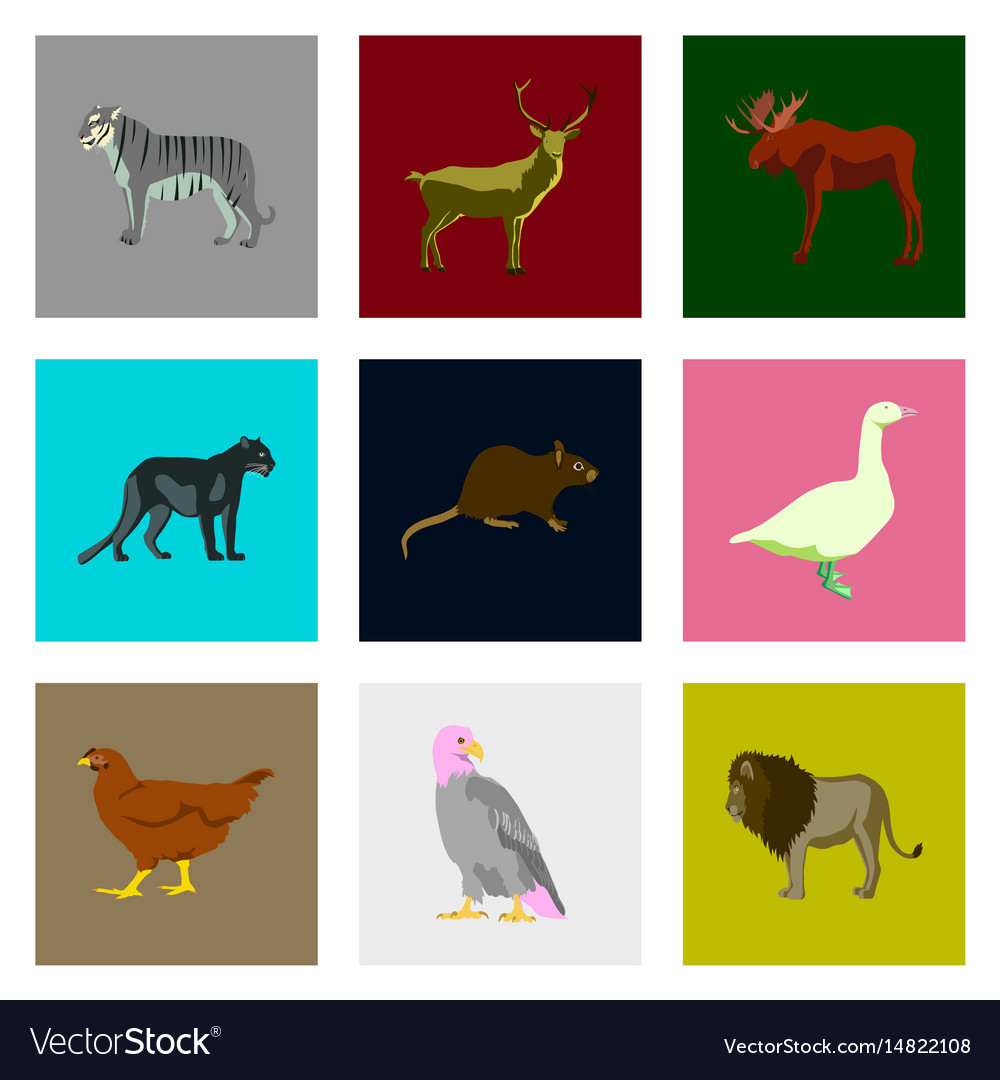 Set in flat style animals Royalty Free Vector Image