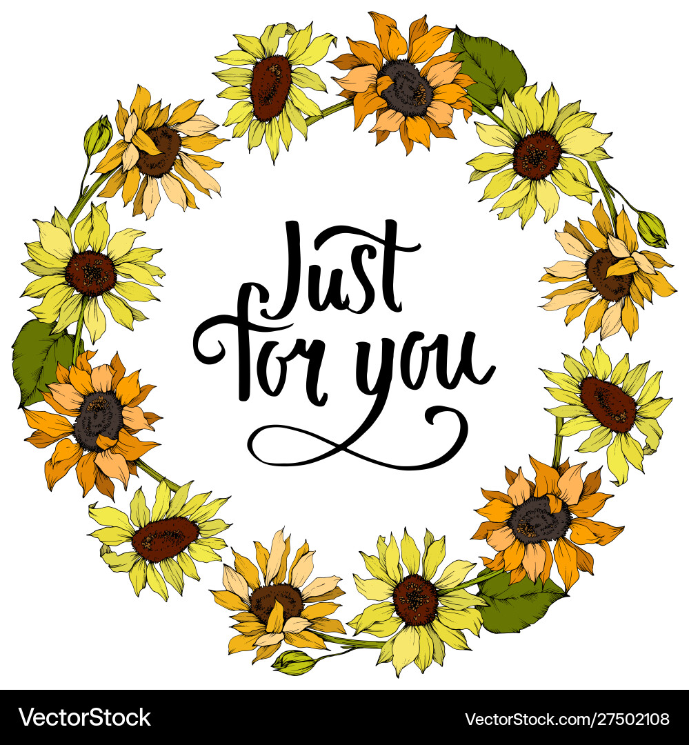 Sunflower floral botanical flowers yellow Vector Image