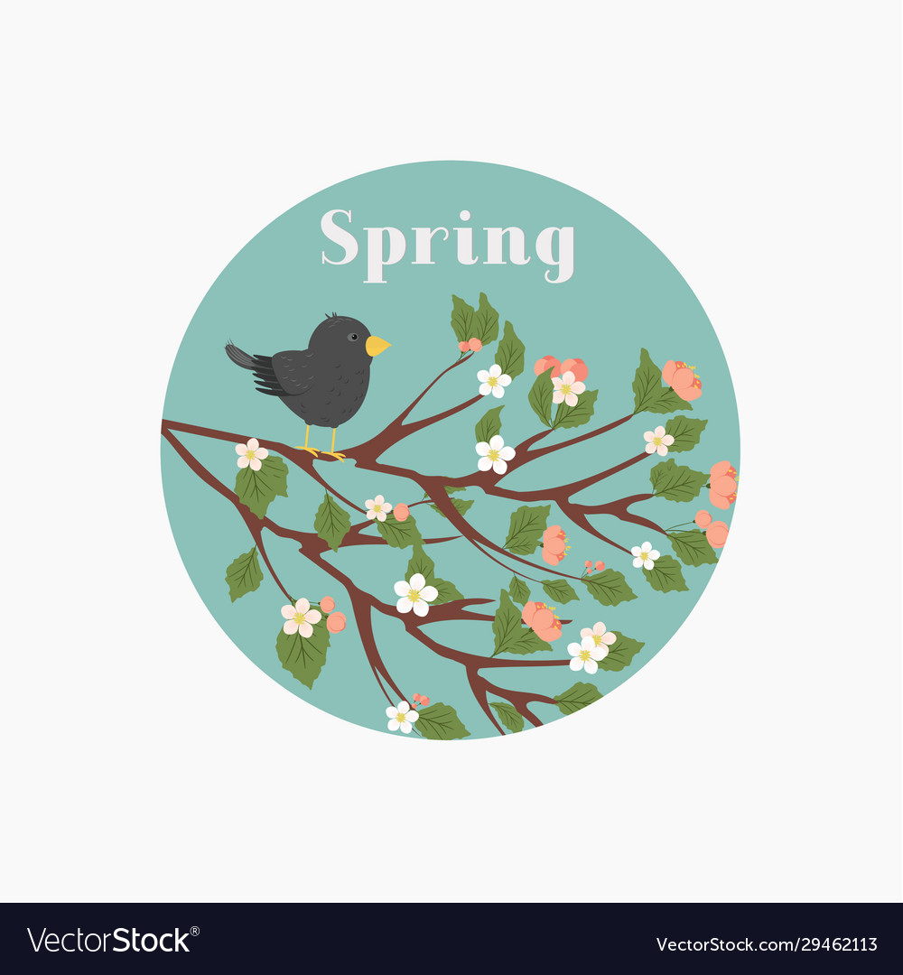 Bird at blooming brunch tree Royalty Free Vector Image