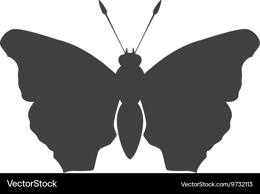 Butterfly silhouette icon insect design Royalty Free Vector