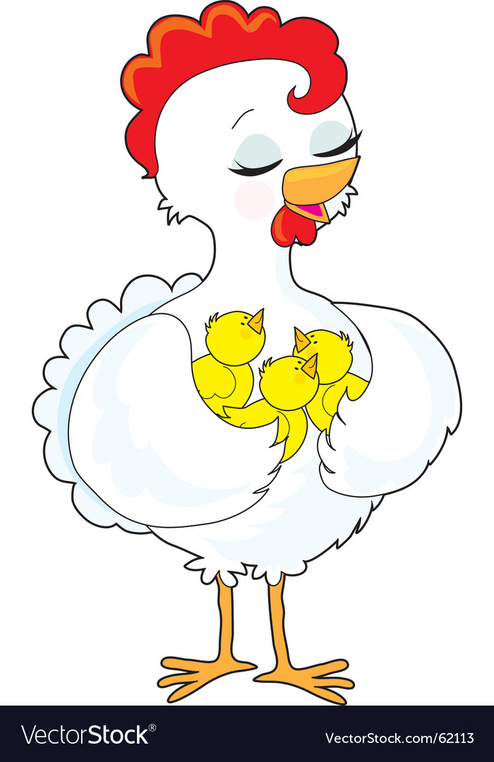 Chicken and chicks Royalty Free Vector Image - VectorStock