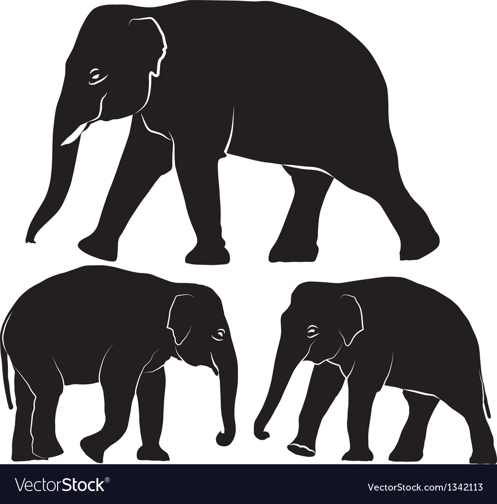 Elephant Royalty Free Vector Image - VectorStock