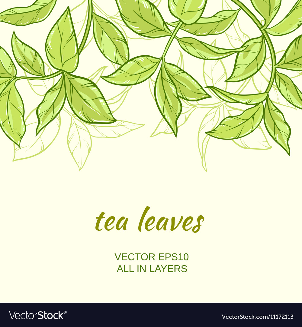 Tea Royalty Free Vector Image - VectorStock