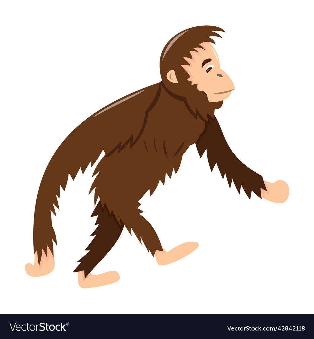 Cartoon monkey Royalty Free Vector Image - VectorStock