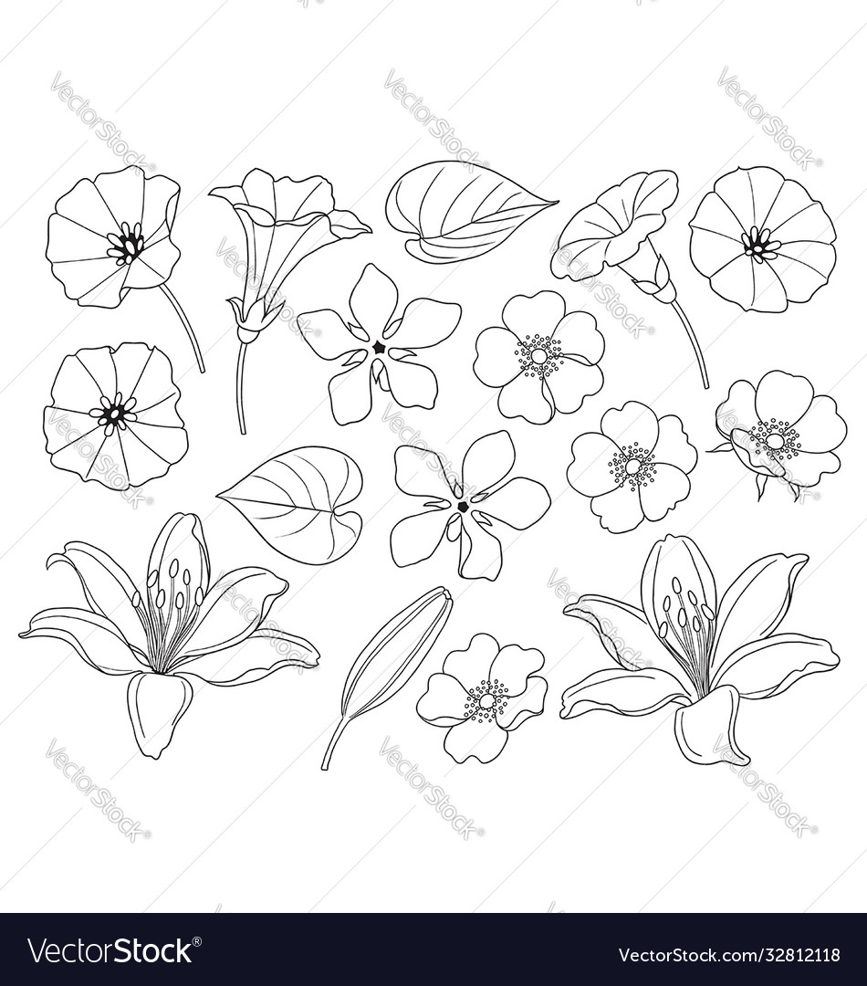 Contoured simple different flowers set Royalty Free Vector