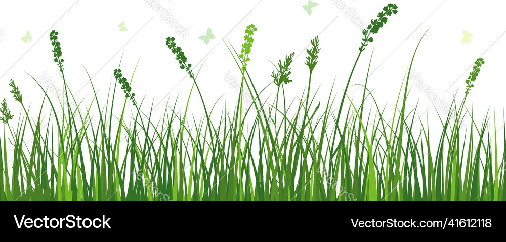 Green grass meadow Royalty Free Vector Image - VectorStock