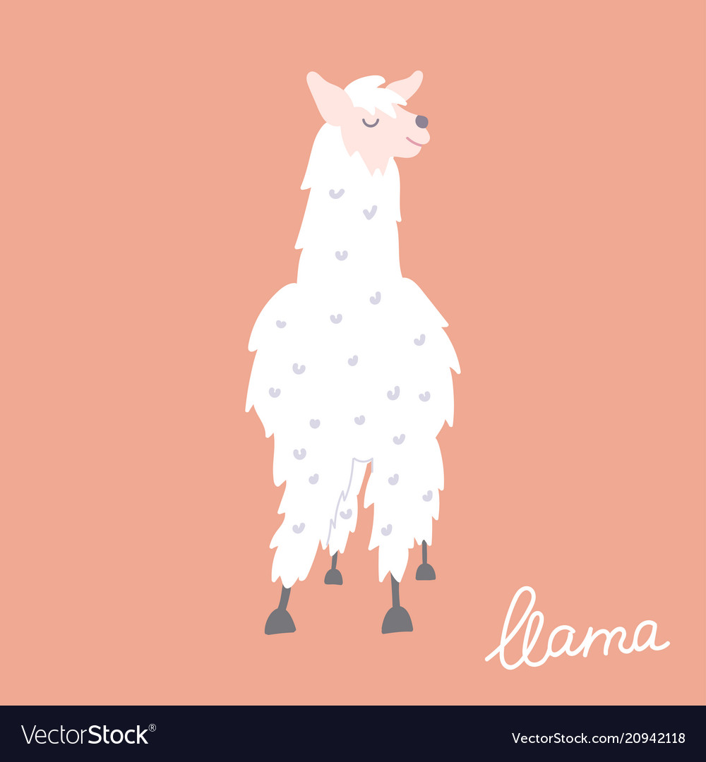Llama Royalty Free Vector Image - VectorStock