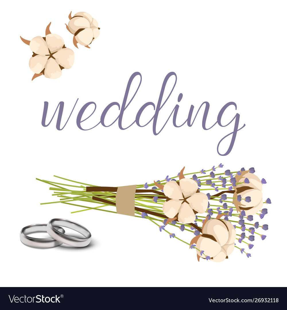 Wedding invitation elements Royalty Free Vector Image