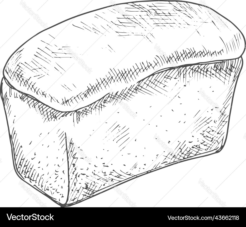 Wheat square bread isolated monochrome sketch Vector Image