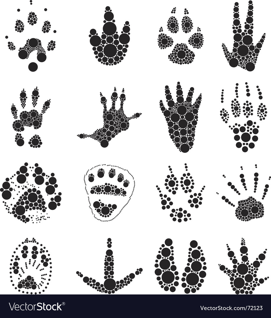 Animal paws Royalty Free Vector Image - VectorStock