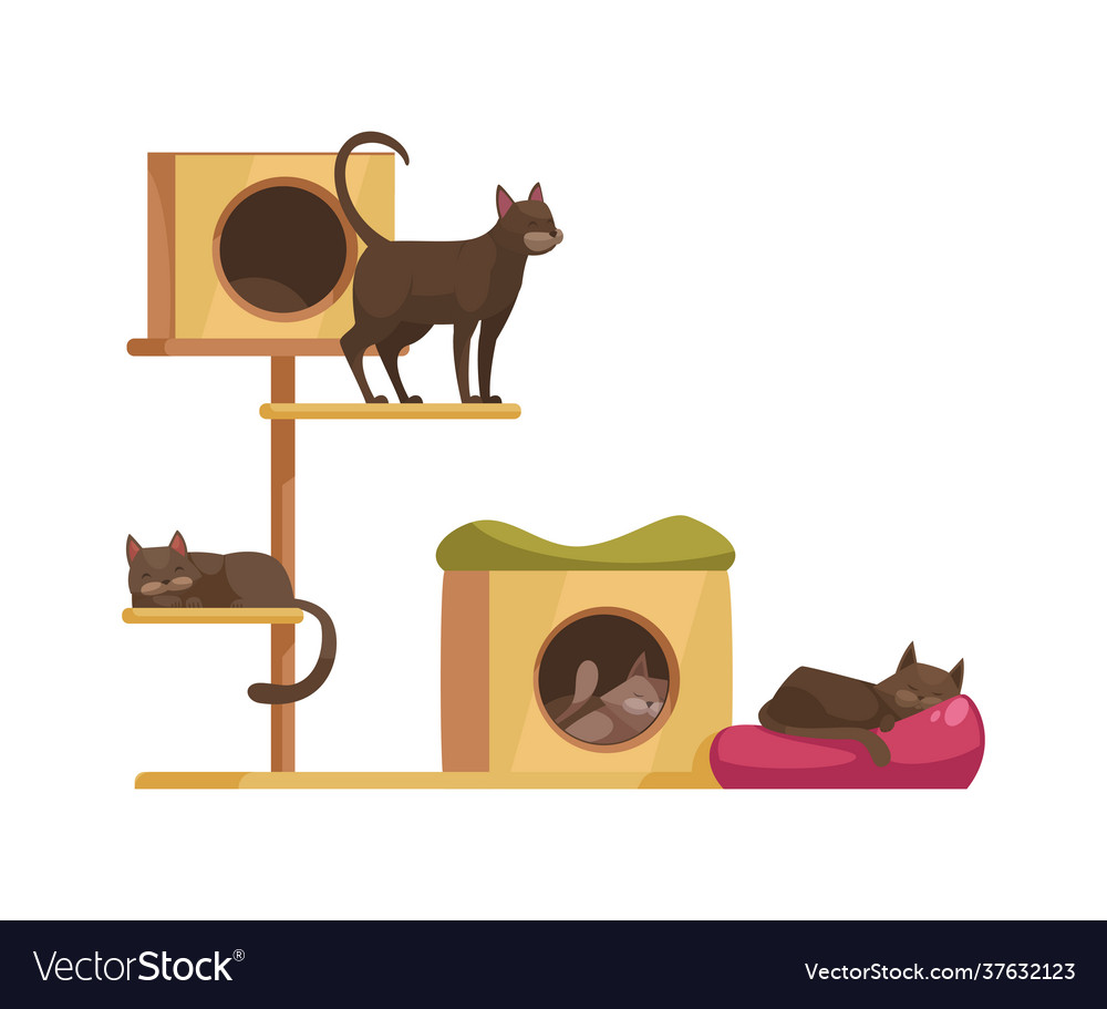 Cat tree icon Royalty Free Vector Image - VectorStock