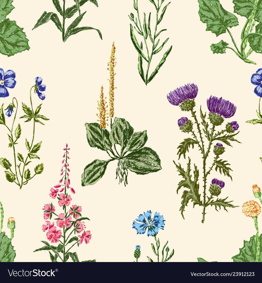 Meadow flowers pattern Royalty Free Vector Image