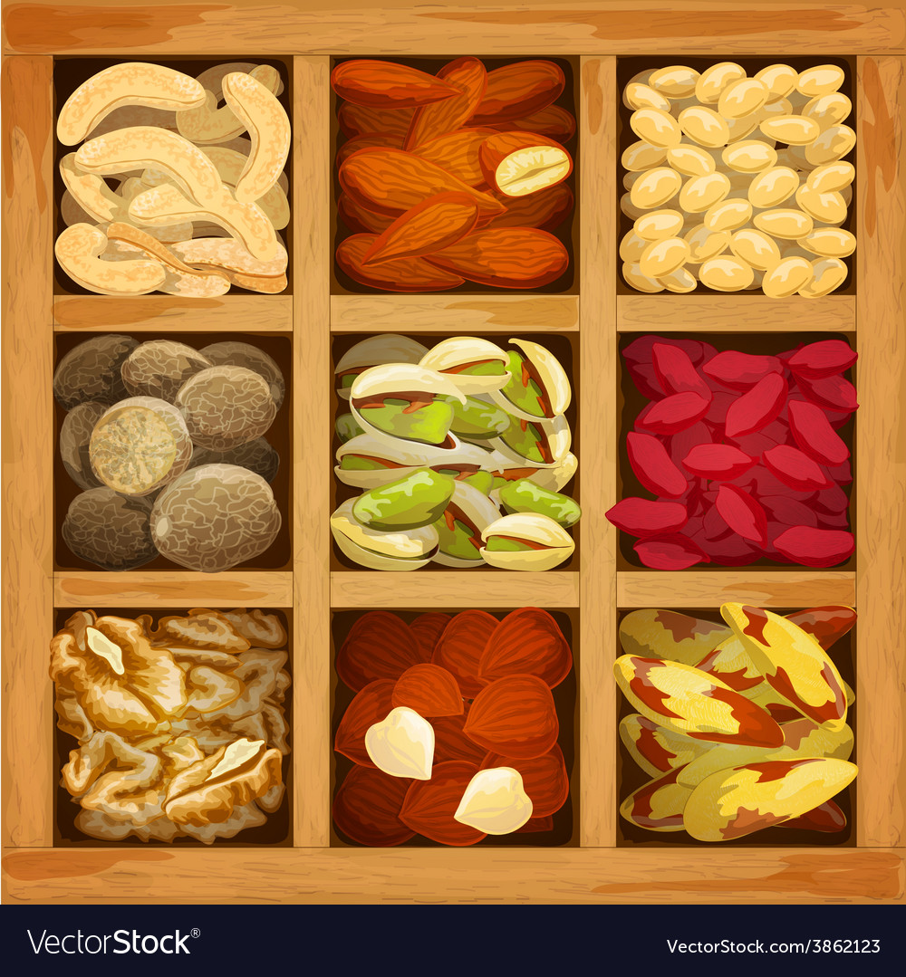Nuts Collection Assorted Royalty Free Vector Image