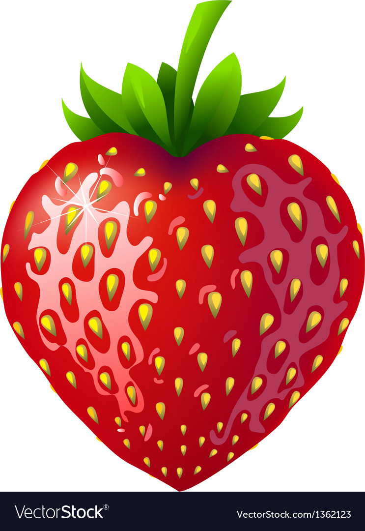 Strawberry Royalty Free Vector Image - VectorStock