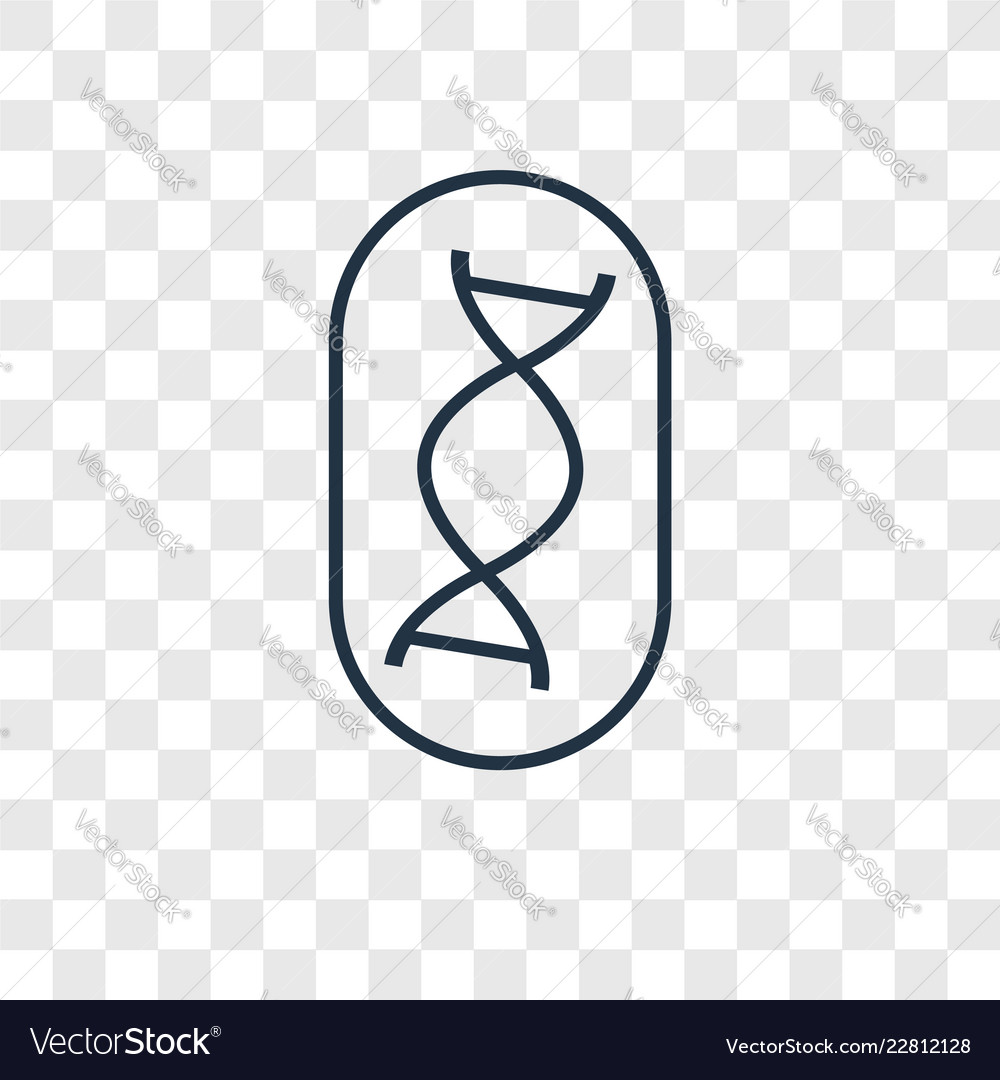 Dna structure concept linear icon isolated Vector Image