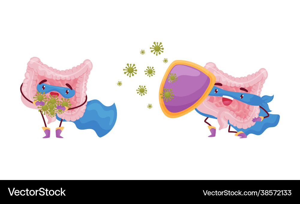 Cartoon intestine or large gut character Vector Image