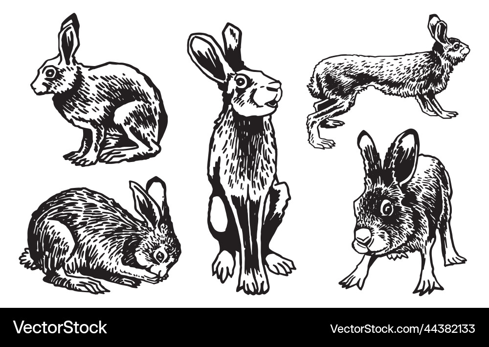 Graphical set of bunnies isolated on white Vector Image