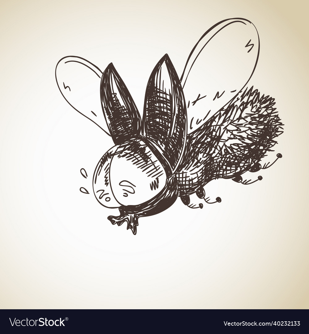 Hand drawn bug Royalty Free Vector Image - VectorStock