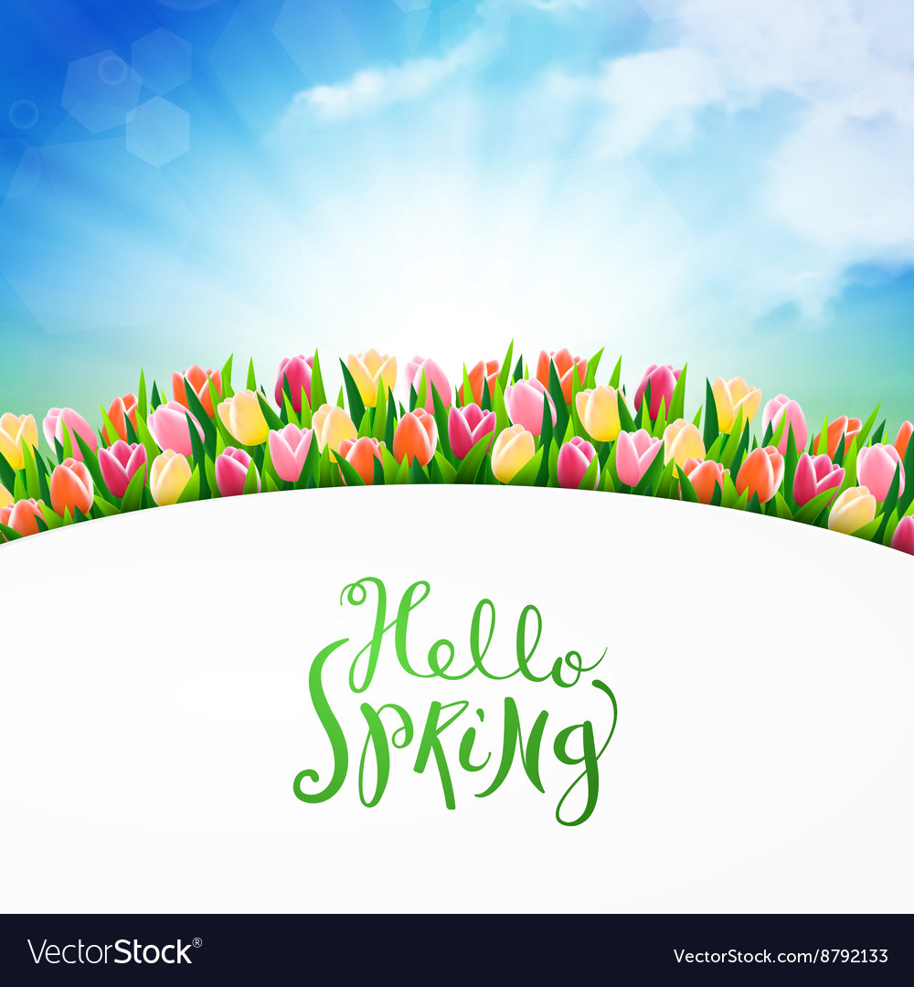 Hello spring card Royalty Free Vector Image - VectorStock