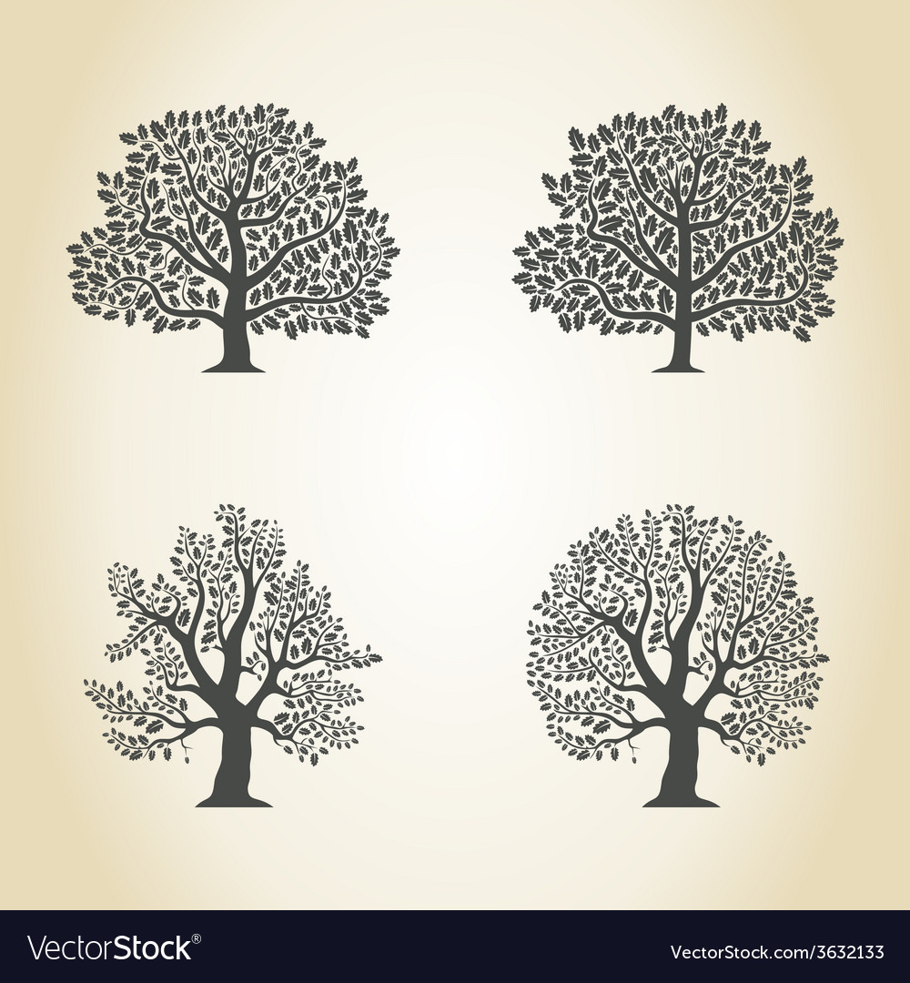 Oak Royalty Free Vector Image - VectorStock