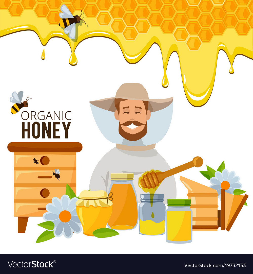 Poster template apiary theme Royalty Free Vector Image